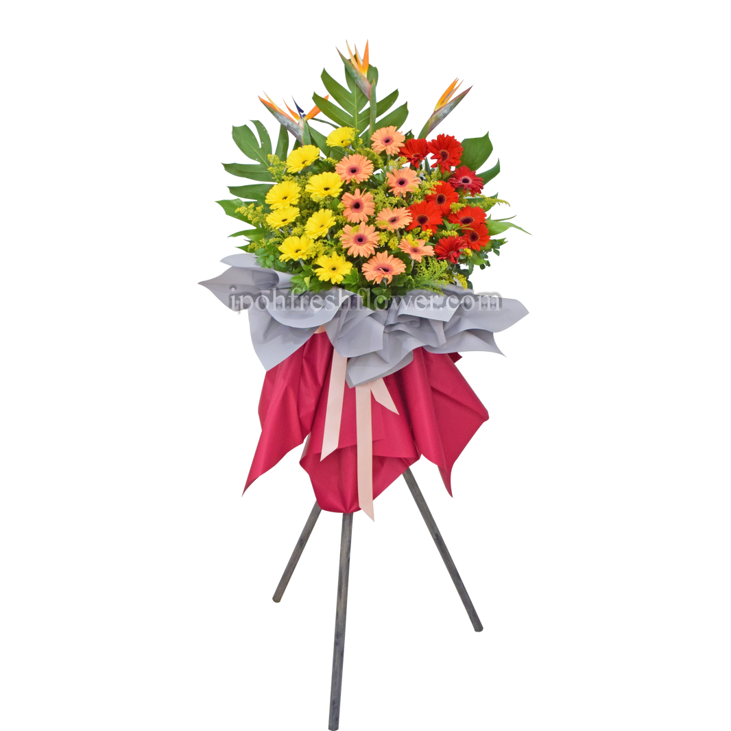Grand Opening Fresh Flower Stand | Same Day Free Delivery – Ipoh Fresh ...